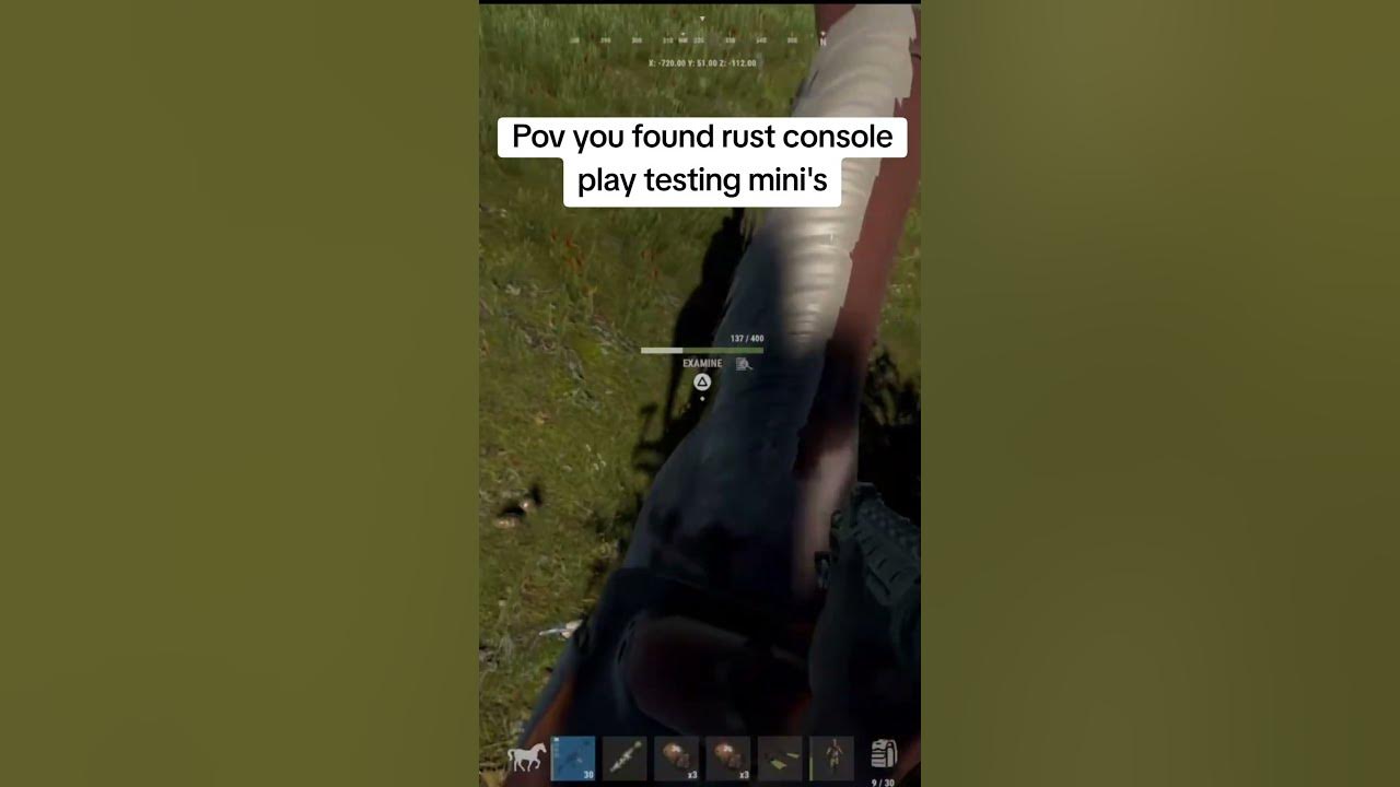 Rust Console HAS MINI'S??? #rust #rustconsole #rustpc #rustfunnymoments #rustgame - YouTube