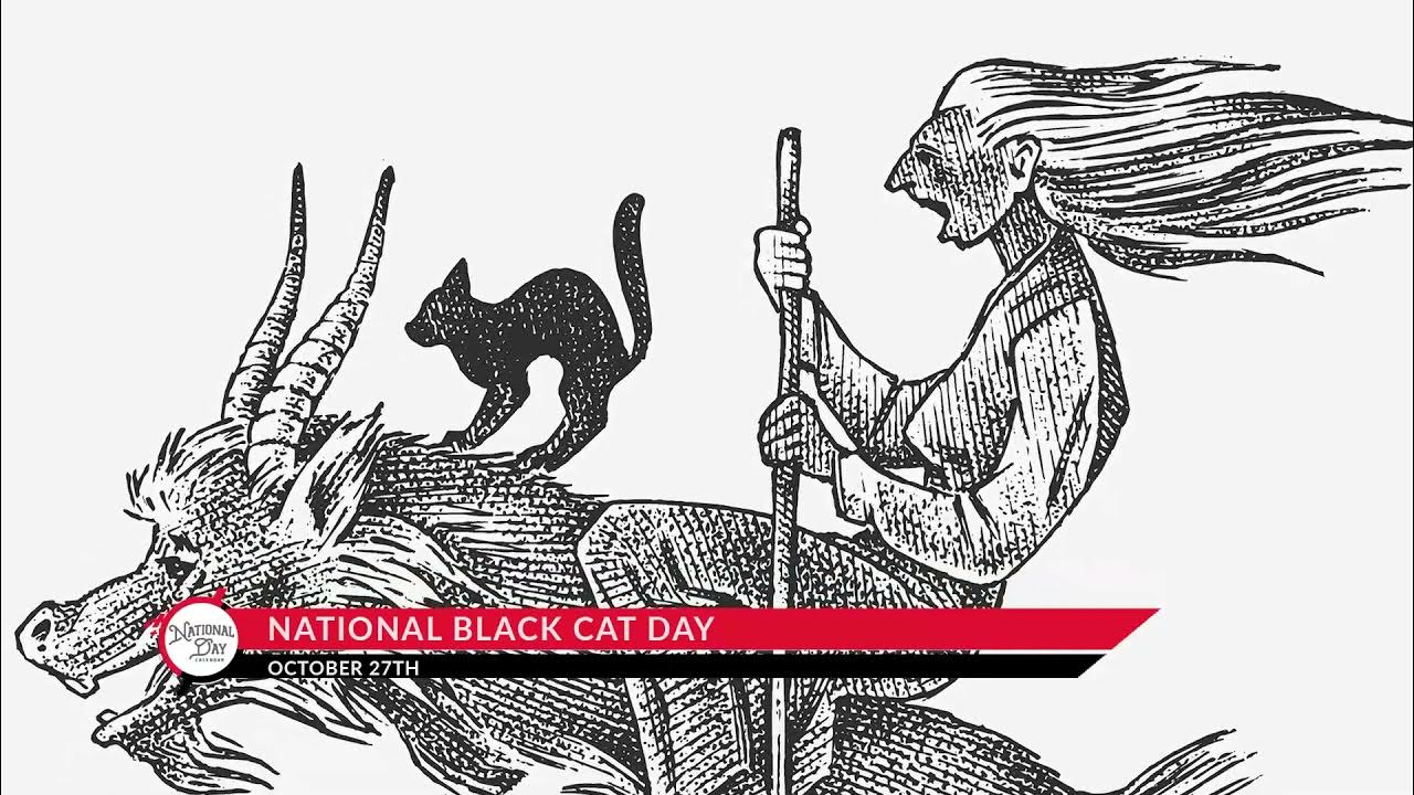 National Black Cat Day - October 27 - YouTube