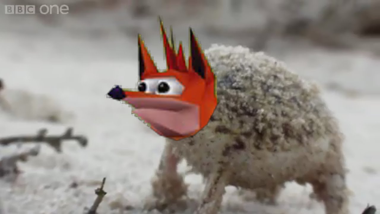 Angry Woah - YouTube