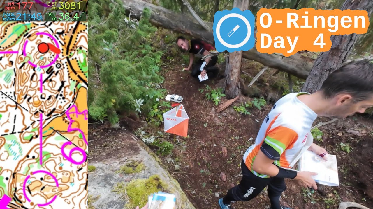 Headcam Orienteering: O-Ringen 2024 Day 4 - YouTube