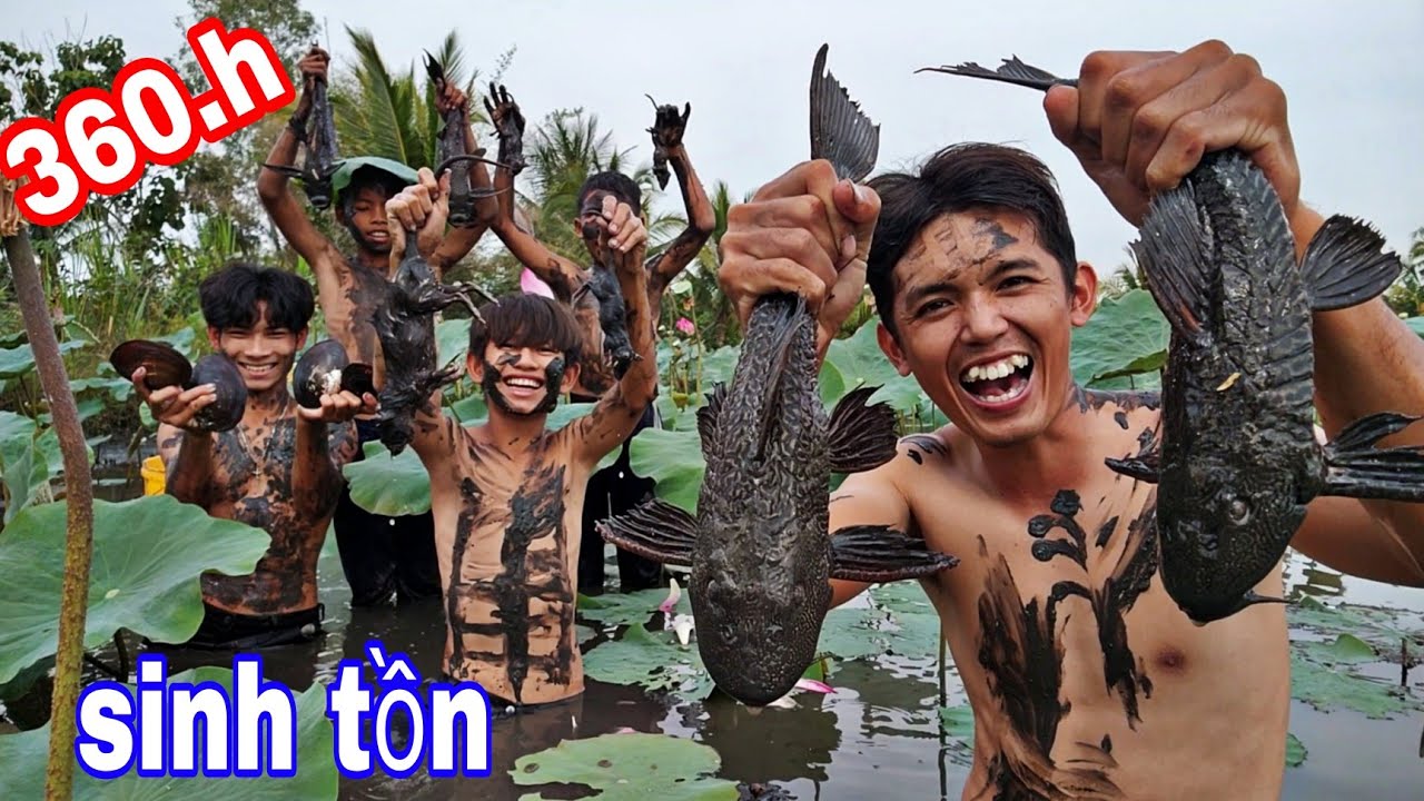 360H Sinh Tồn Tìm Thức Ăn Trên Cánh Đồng Ruộng Sen Bỏ Hoang Cùng Team ...