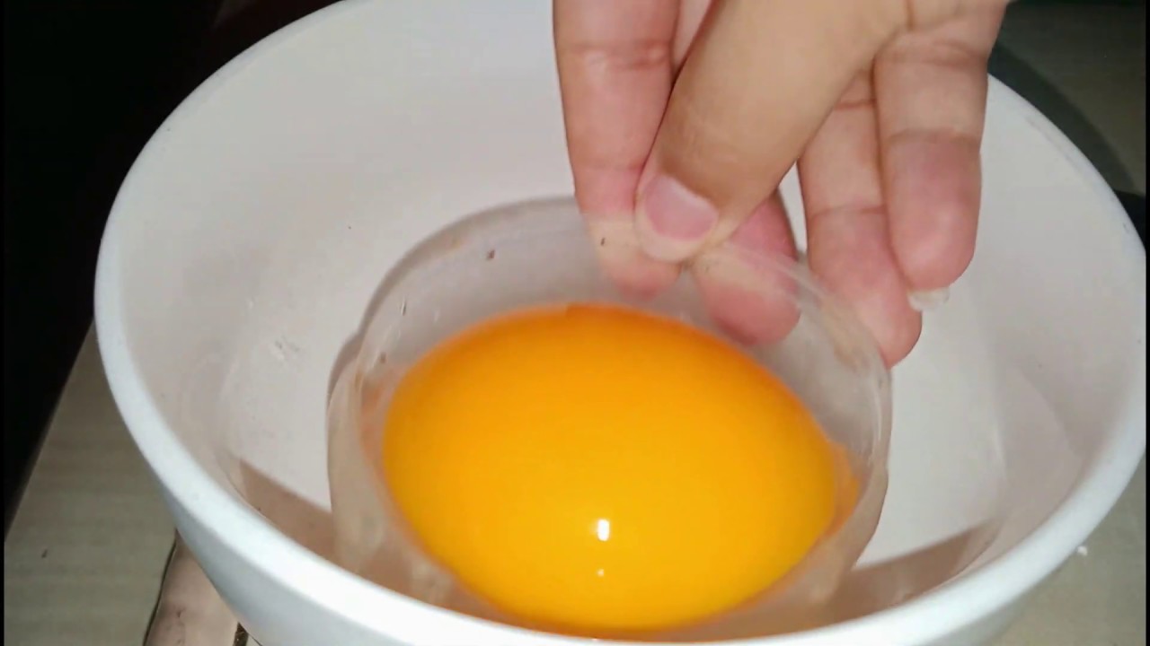 CARA BUDIDAYA INFUSORIA MASSAL PAKAN ALAMI BURAYAK TERKECIL - YouTube