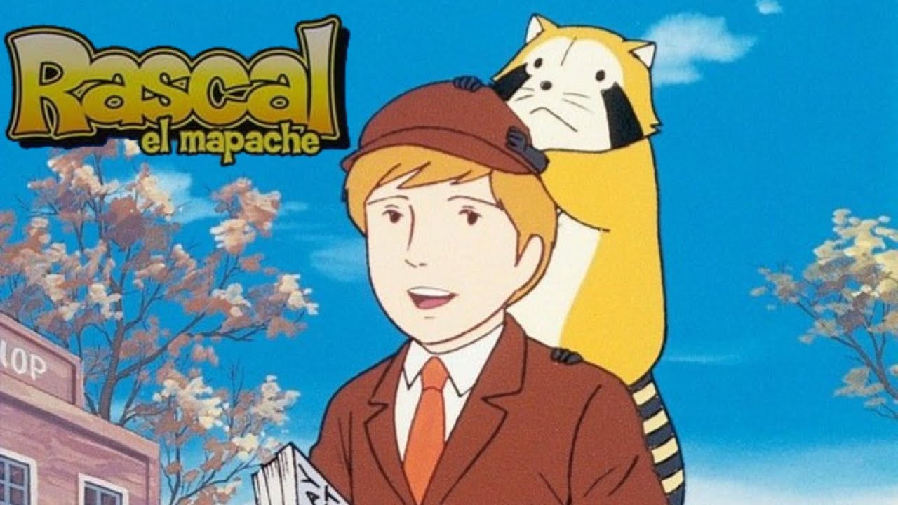 Rascal, El Mapache (Araiguma Rascal) Serie 1976, Intro España - YouTube