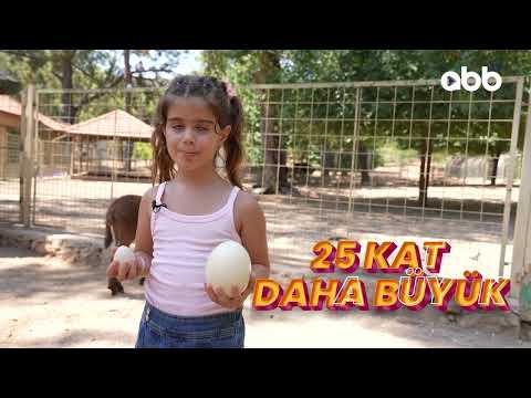Minik Ada, Doğal Yaşam Parkı'nda