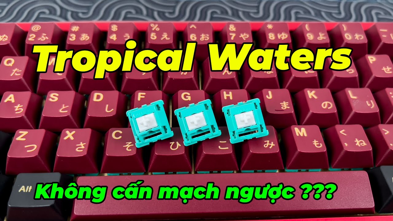 Đánh giá Tropical Waters Switches: KHÔNG CẤN MẠCH NGƯỢC ??? - YouTube