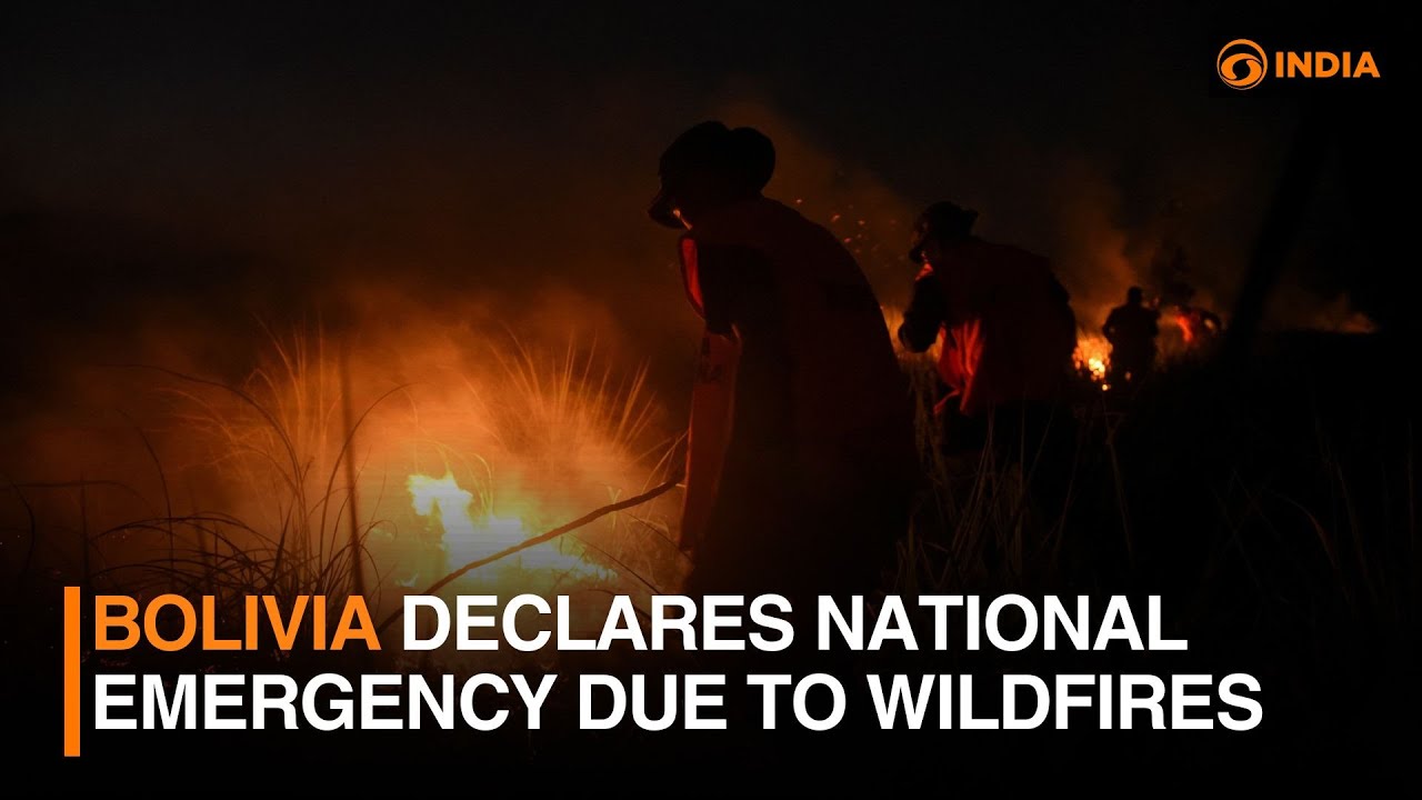 Bolivia declares national emergency due to wildfires | DD India - YouTube