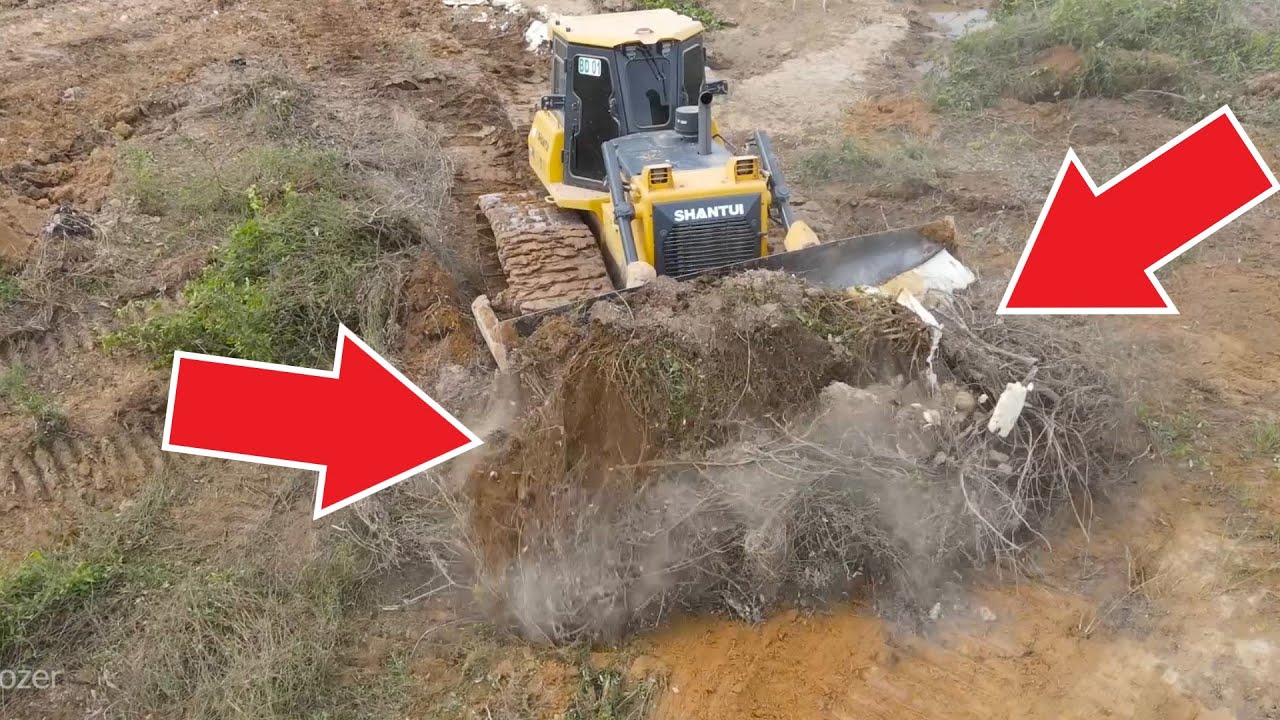 Excellent Dozer Making Large Road , Clearing Forest To Widening Space ...