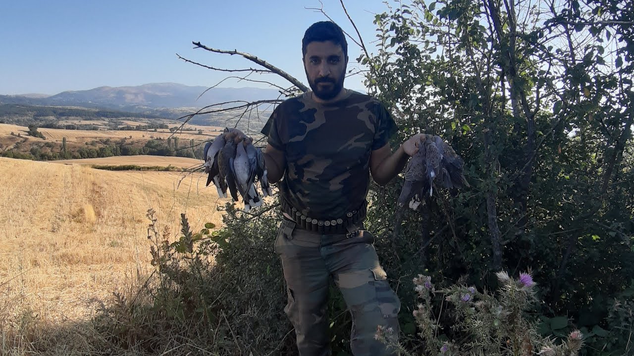 ΚΥΝΗΓΙ ΤΡΥΓΟΝΙΑ 2019 caccia tortore (ΣΤΑΥΡΟΣ) - YouTube