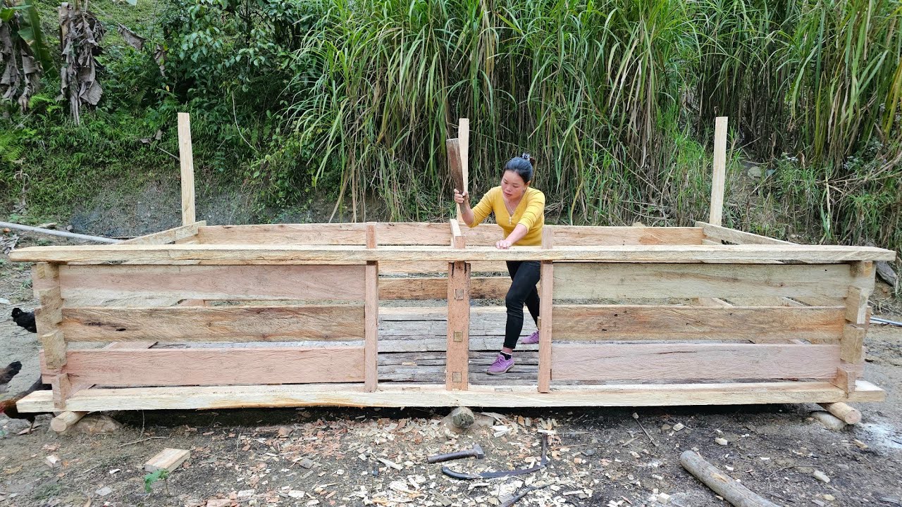 Build a Wooden House for Pigs - Pig Barn 2024 - Farm life | Trieu Mai ...