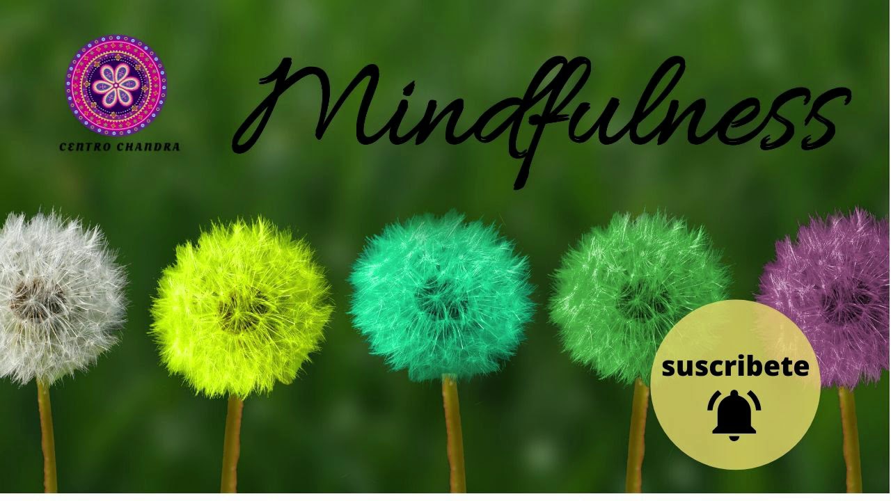 MINDFULNESS - ATENCIÓN PLENA - YouTube