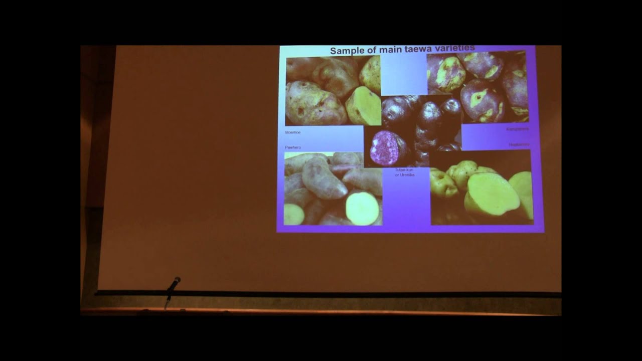 Tahuri Whenua - capturing traditional knowledge for contemporary ...