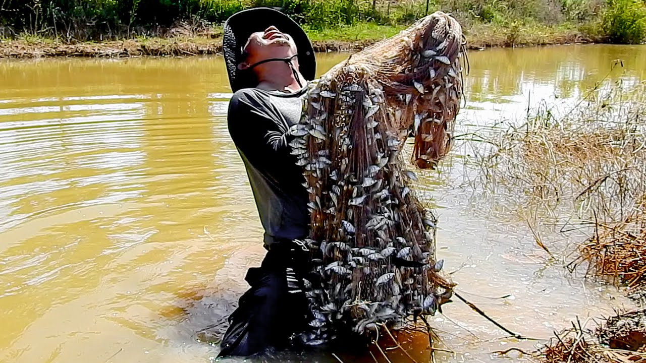 Wow!!! Real Life Cast Net Fishing 16Kg In River At The Countryside ...