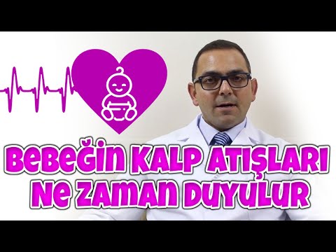 Op.Dr. Filip Taşhan  - Bebeğin Kalp Atışları Ne Zaman Duyulur - Gebelik Takibi & Doğum