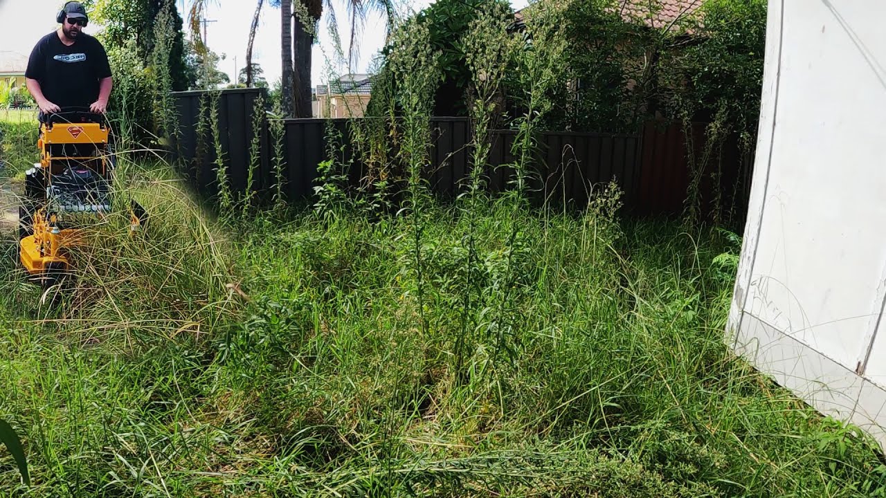 My Lawn Mower DESTROYED This TALL Overgrown Grass | SUPER Satisfying ...