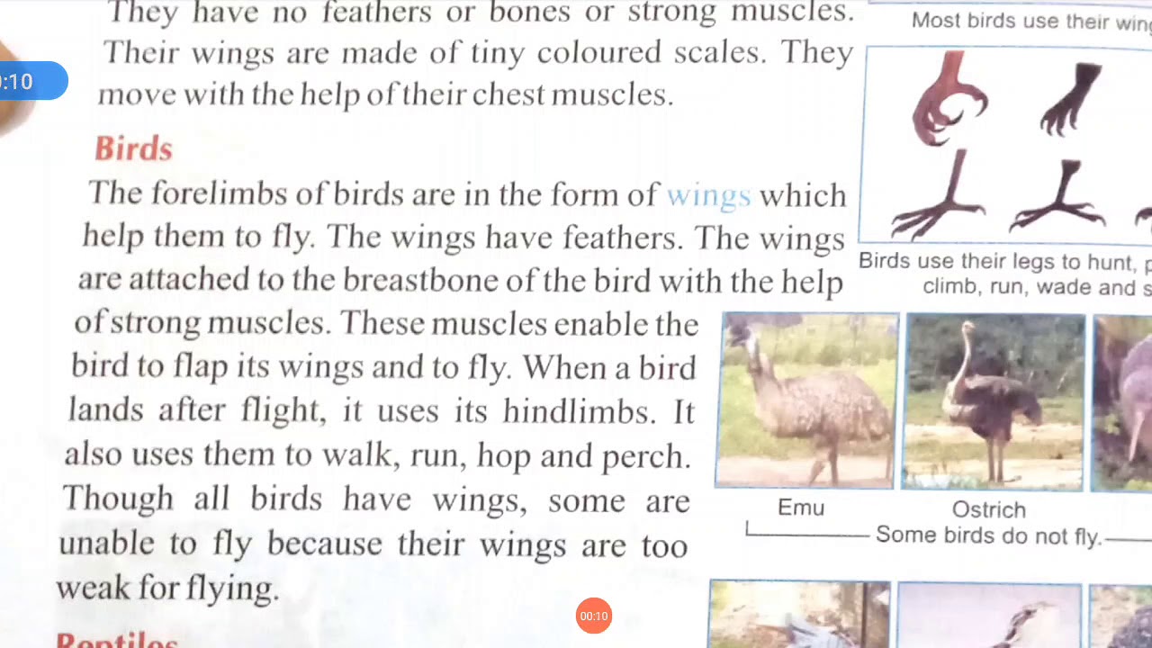 Do you know How Birds, Reptiles and Man move by- Abhishek Mishra - YouTube