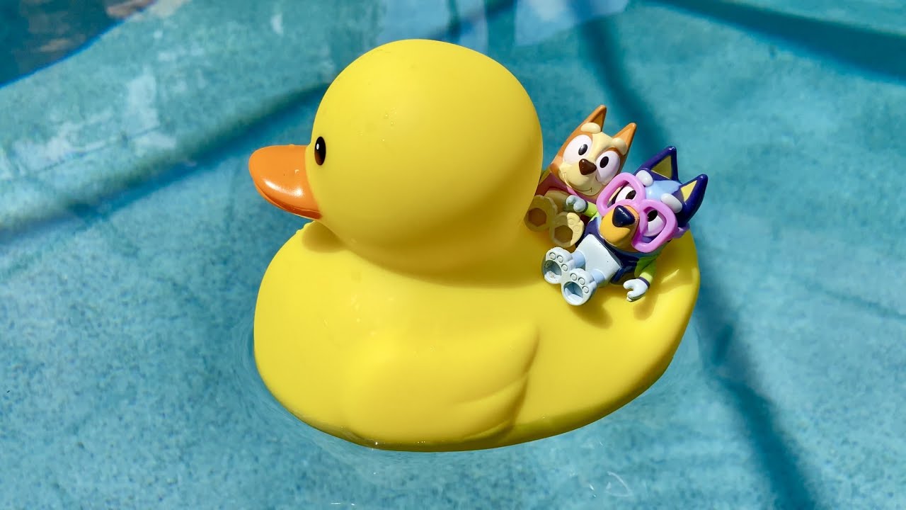 Bingo & Bluey pool party - Ducky FLOATIES - YouTube