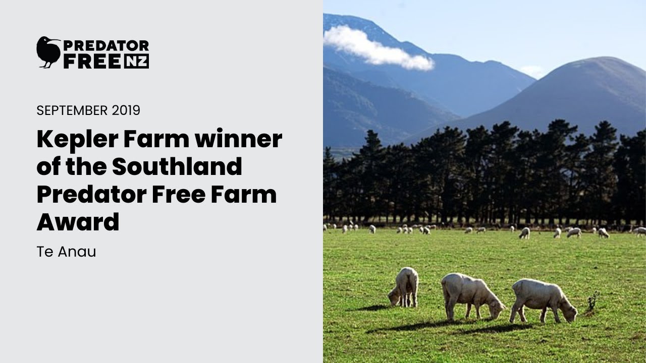 Kepler Farm (Te Anau) winner of the Southland Predator Free Farm Award ...