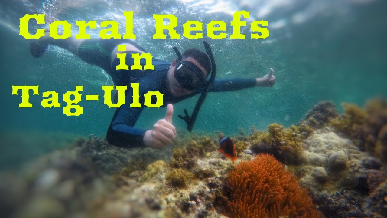 Bakas Yun Sa Tag Ulo, Dapitan City Coral reefs watching - YouTube