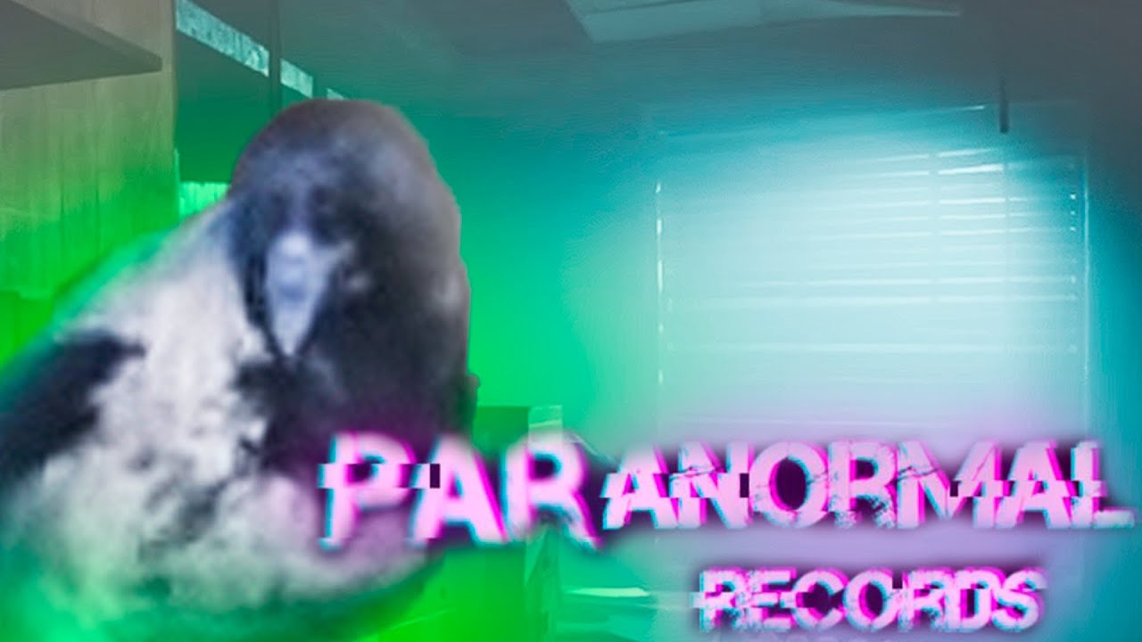 Зачем я прошел это второй раз? (Paranormal Records) - YouTube