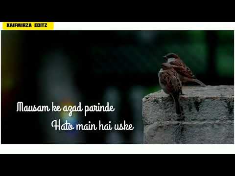 Mausam Ke Azaad Parindey Hathon Main Hai Uske | Mausam Whatsapp Status | Tik Tok Status