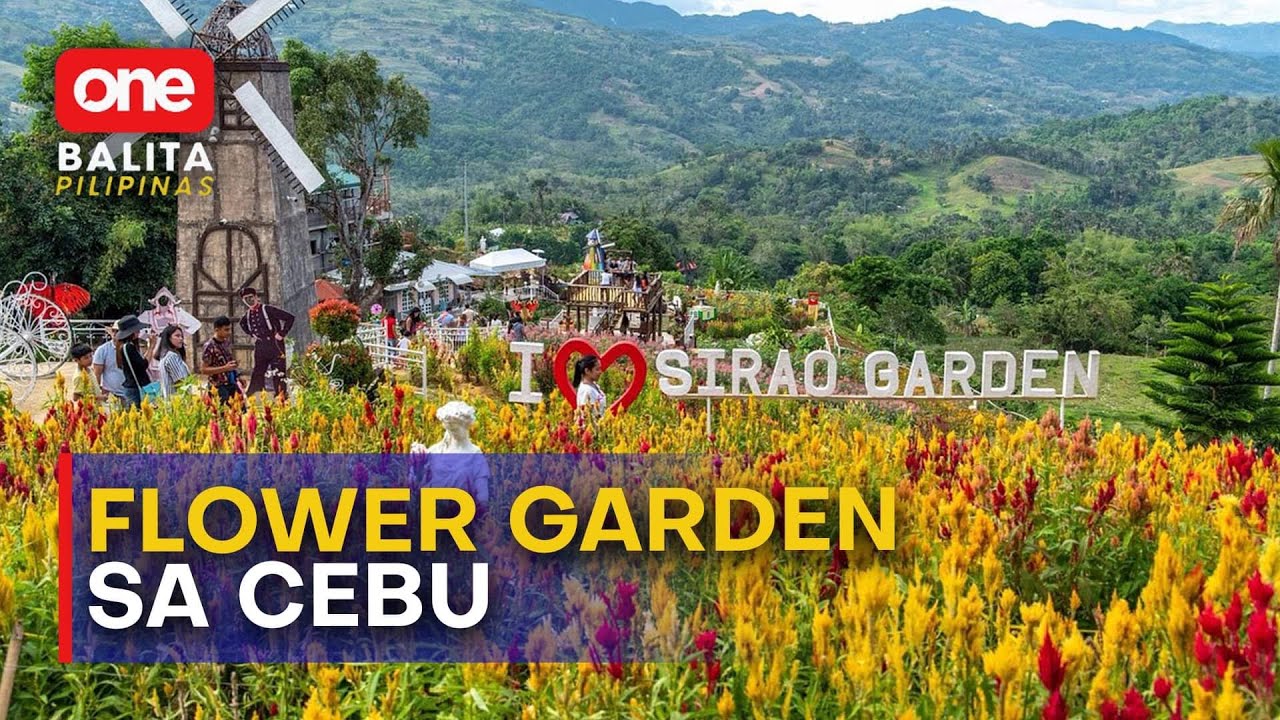 Sirao flower garden sa Cebu, patok sa mga turista - YouTube