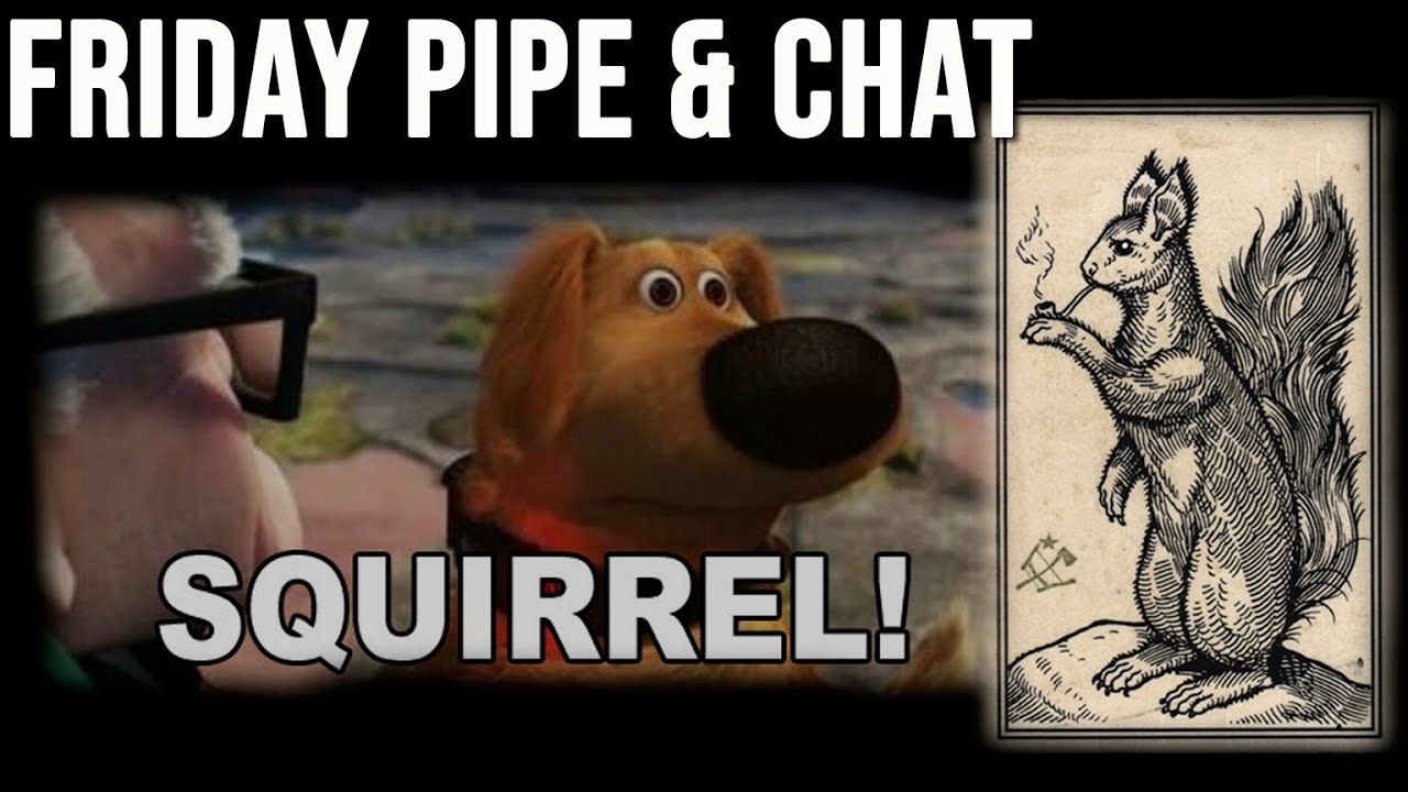 Friday SQUIRRELS! - YouTube