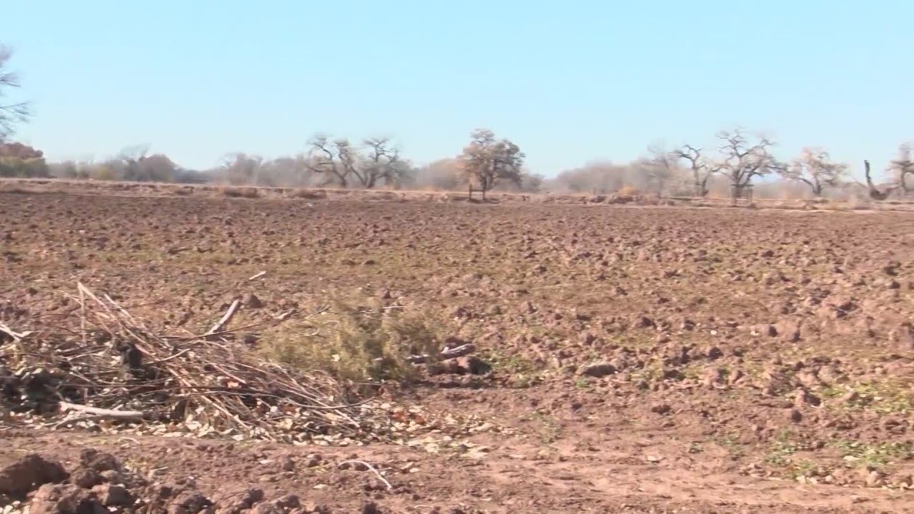 Middle Rio Grande Conservancy District offers farmers more money to not ...