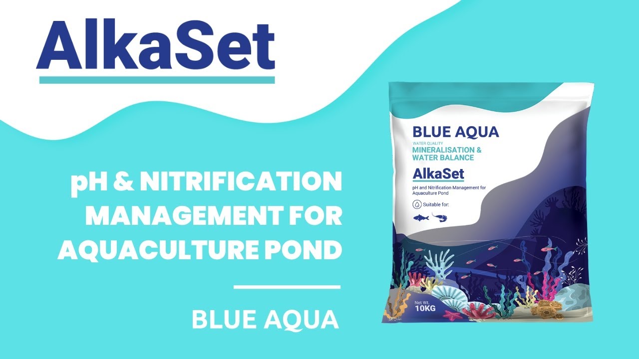 Alkaset: pH and Nitrification Management for Aquaculture Pond - YouTube