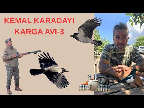 KEMAL KARADAYI KARGA AVI 2026-3 Caccia alle Cornacchie-Crow Hunting