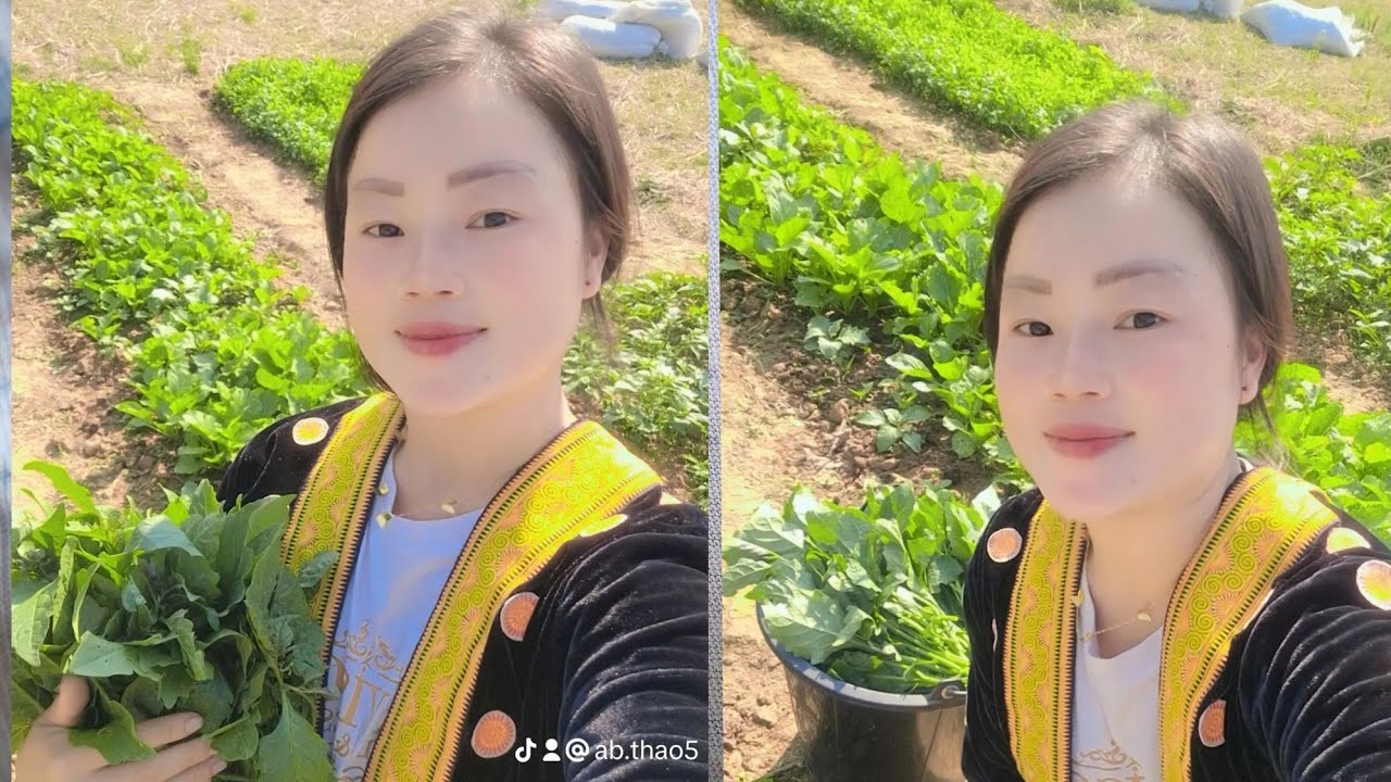 hnub no kv tus txiv tsev nwb tuaj Deb zaub 🥬🥬/15/2/2025 - YouTube