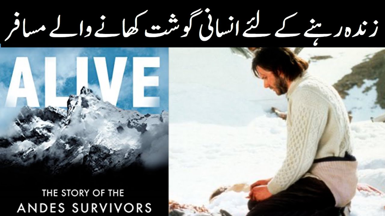 Uruguayan Air Force Flight 571 crash | Real story Of movie Alive 1993 ...