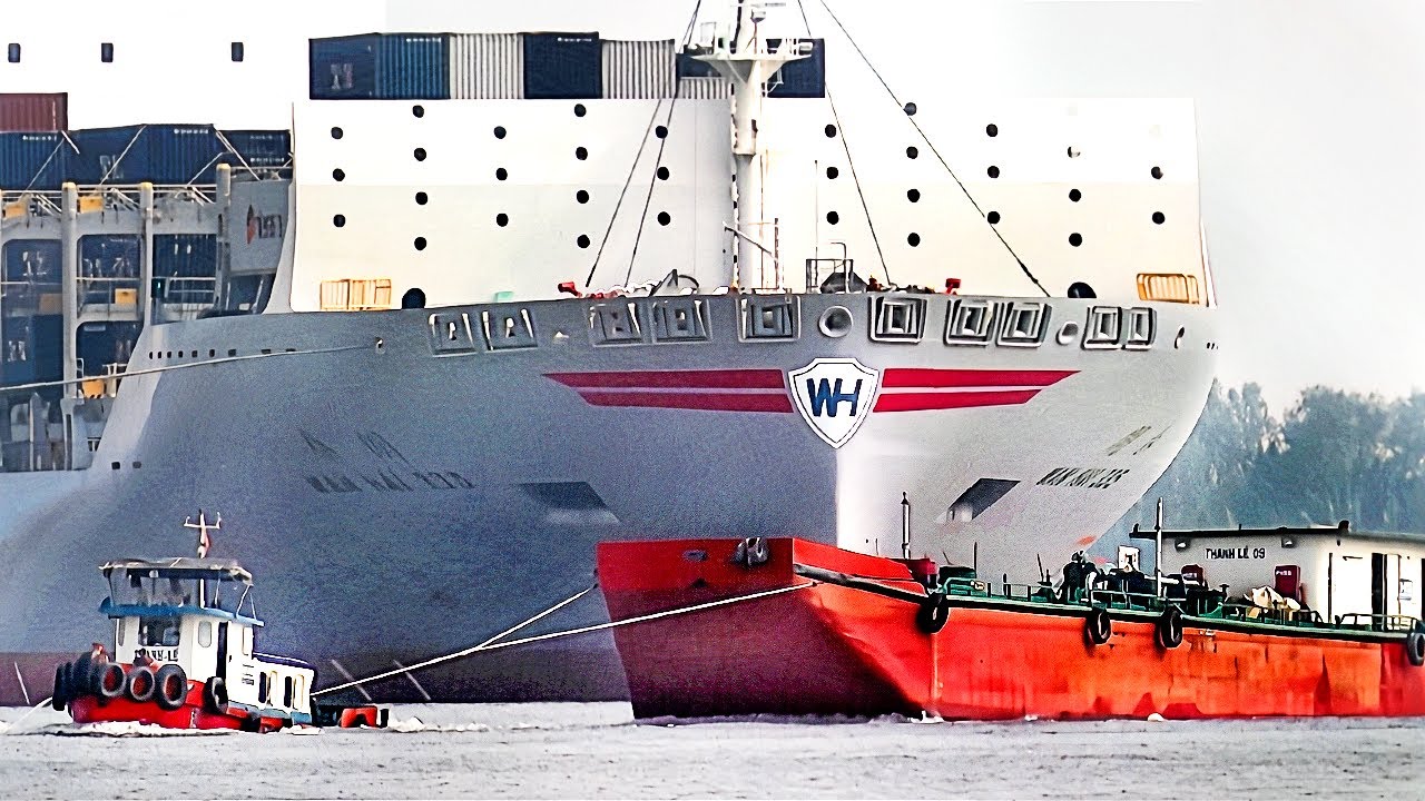 Navigating the Chaos Heavy Ship Traffic at Cat Lai Port #shipspotting ...