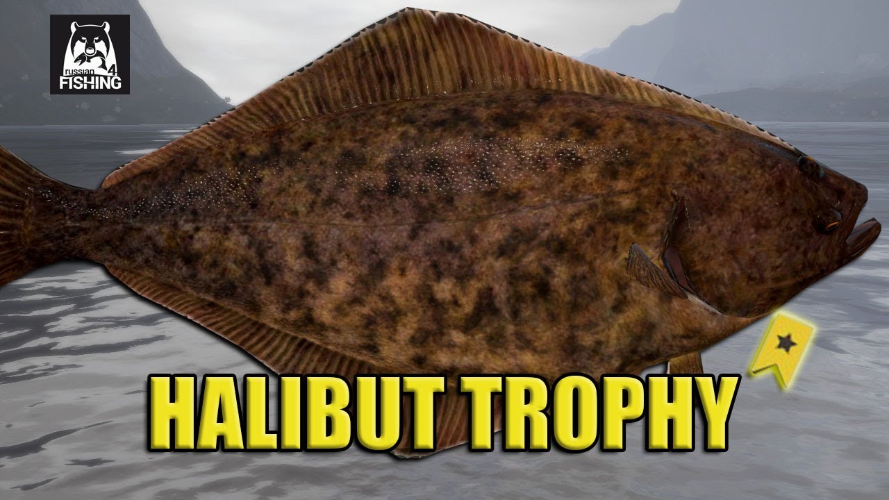 Atlantic Halibut Trophy at Norway - Russian Fishing 4 - YouTube