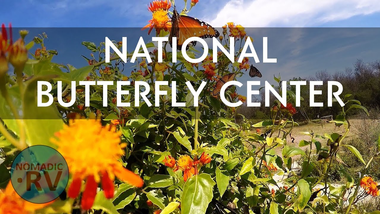 National Butterfly Center | vlog5 | Full Time RV Living - YouTube