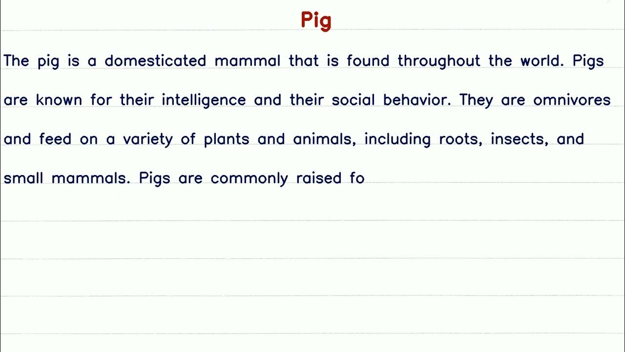 Short Paragraph on Pig - YouTube