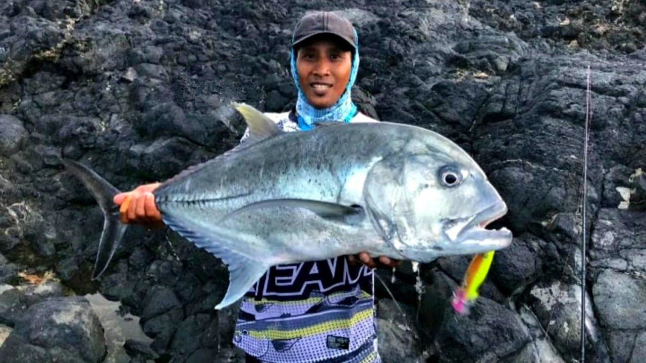 2 day rock shore fishing & camping in paus Island bali || black GT on ...