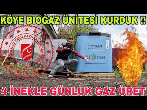 KÖYE BİOGAZ TESİSİ KURDUK~İNEĞİN VARSA GÜNLÜK GAZIN VAR~TOGG İLE FARKLI GÜN