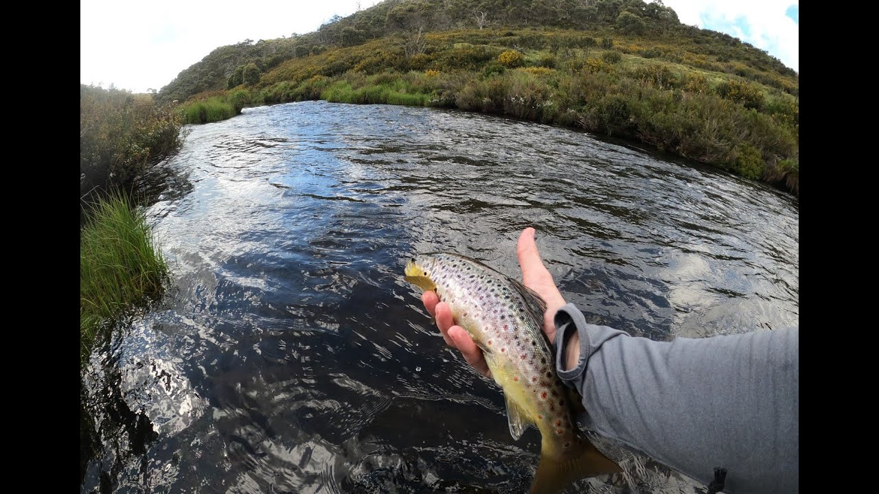 Day 2 - Remote Fly Fishing Trip - YouTube
