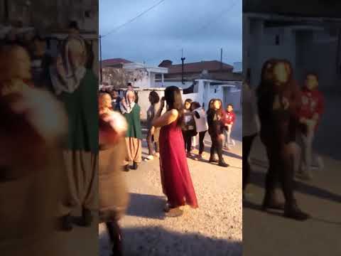 Serke kirpi cnm halacim