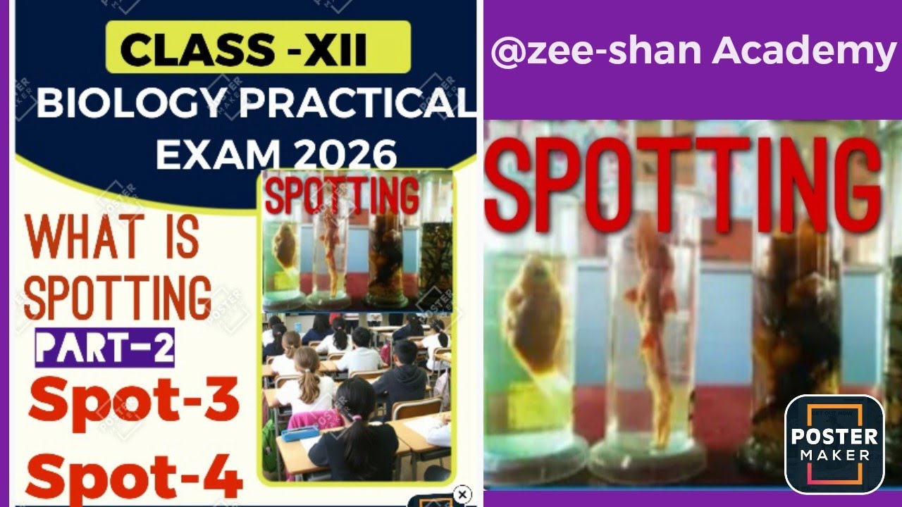 Class 12 biology practical | spotting | how to do SPOTTING - YouTube