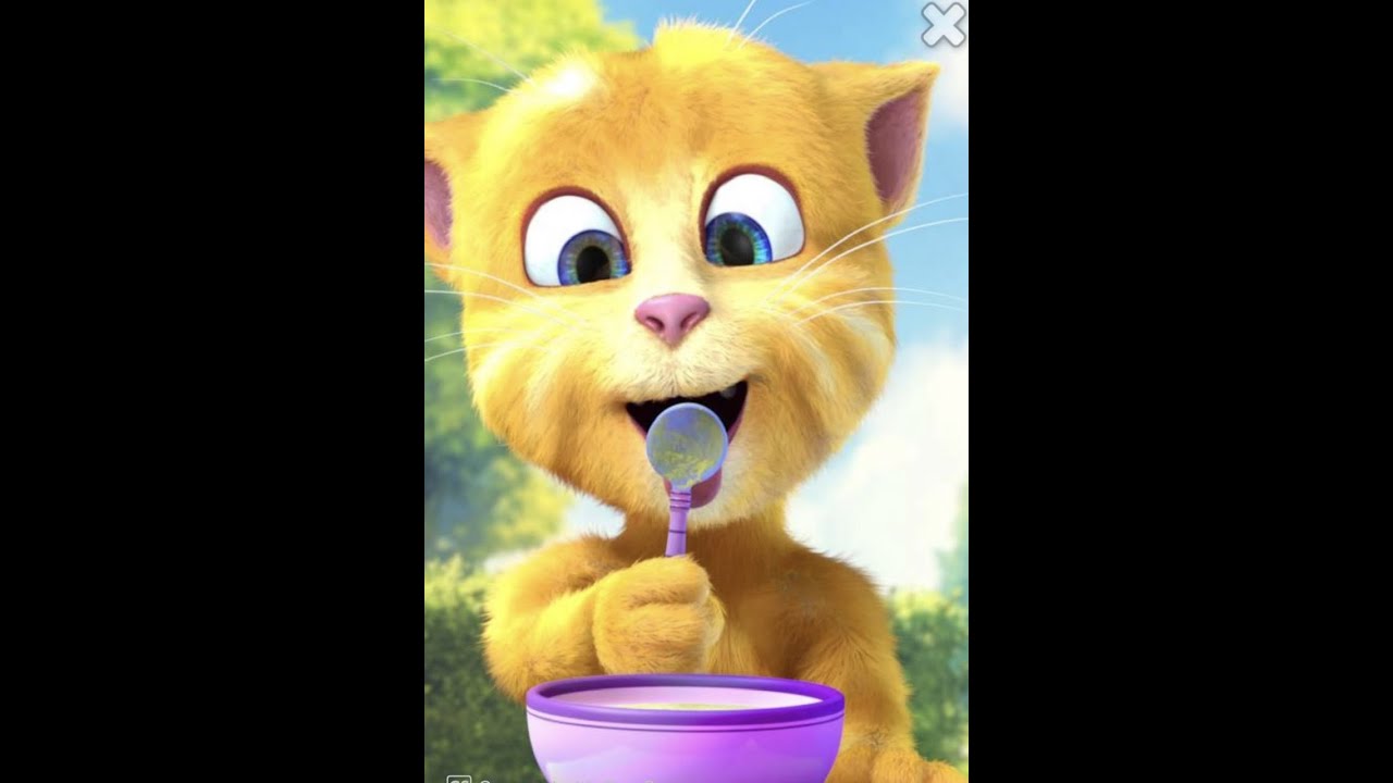 Talking Ginger 2|Talking ginger funny video |Talking ginger cartoon# ...