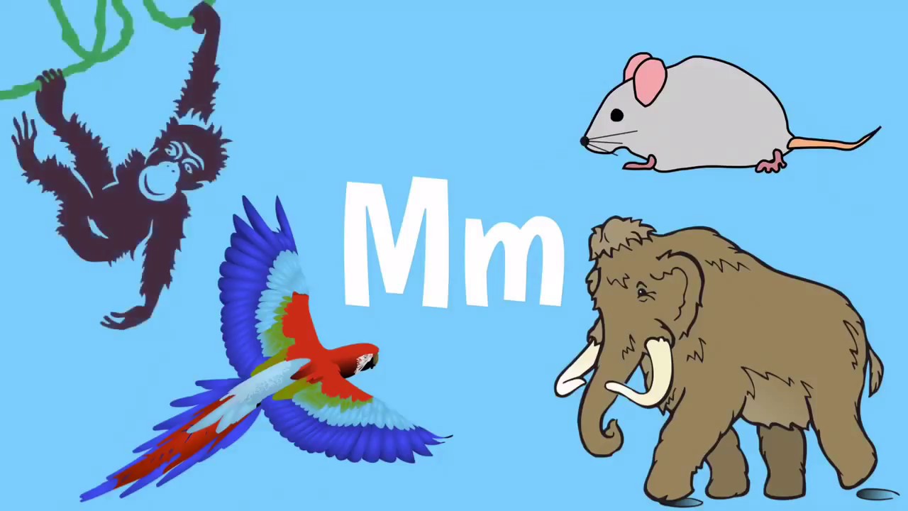 Alphabet Animals ABC Phonics - YouTube