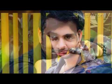 Сенга ошикман