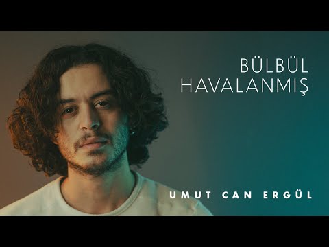 Bülbül Havalanmış - Umut Can Ergül (2024) #türkü #deyiş