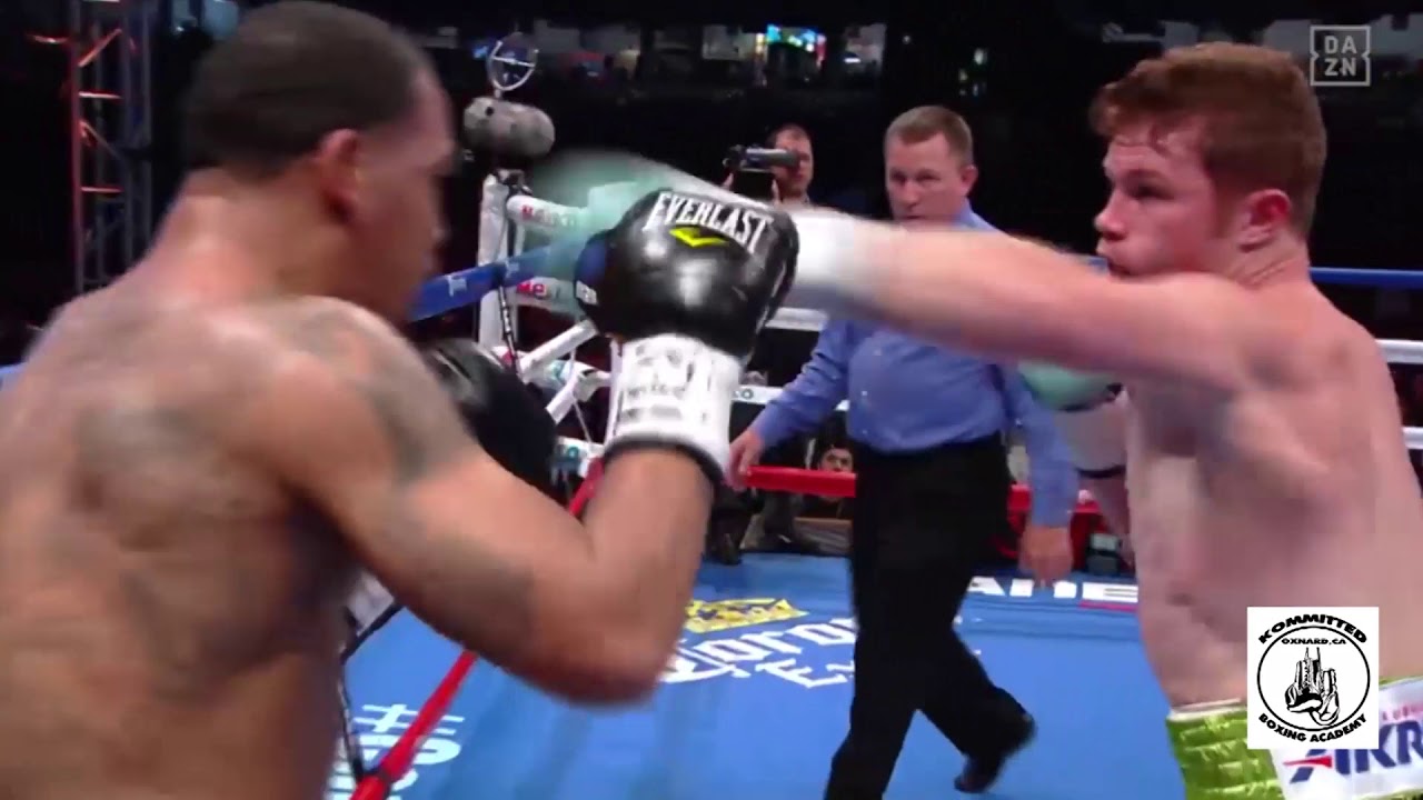 Boxing For Beginners : Fight Like a Professional Boxer [Learn Technique ...