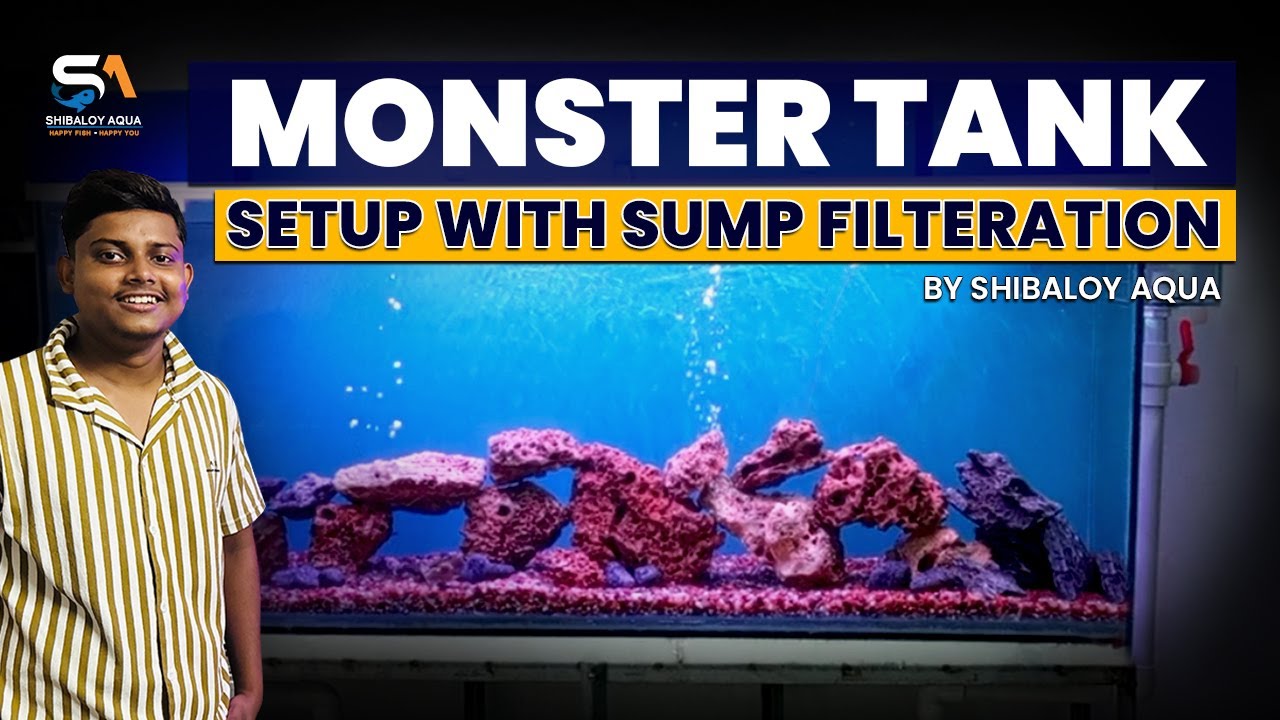 Ultimate Monster Fish Tank Setup | Giant Aquarium Build Step-by-Step ...