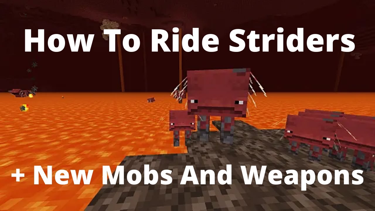 How To Ride Striders In Minecraft + New Mobs And Weapons - YouTube