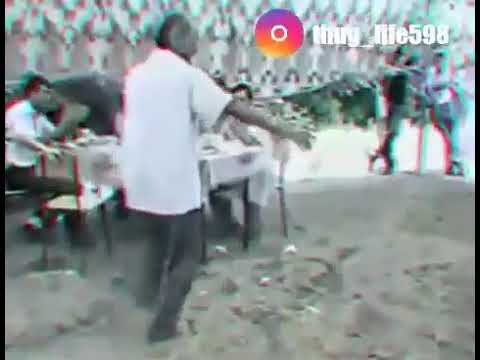 Tsunami dayı