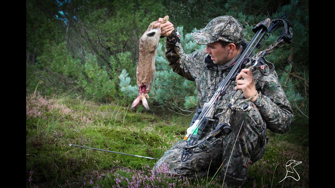 Bowhunting rabbits, incl. rabbit recipe - Nordica Outdoors - YouTube