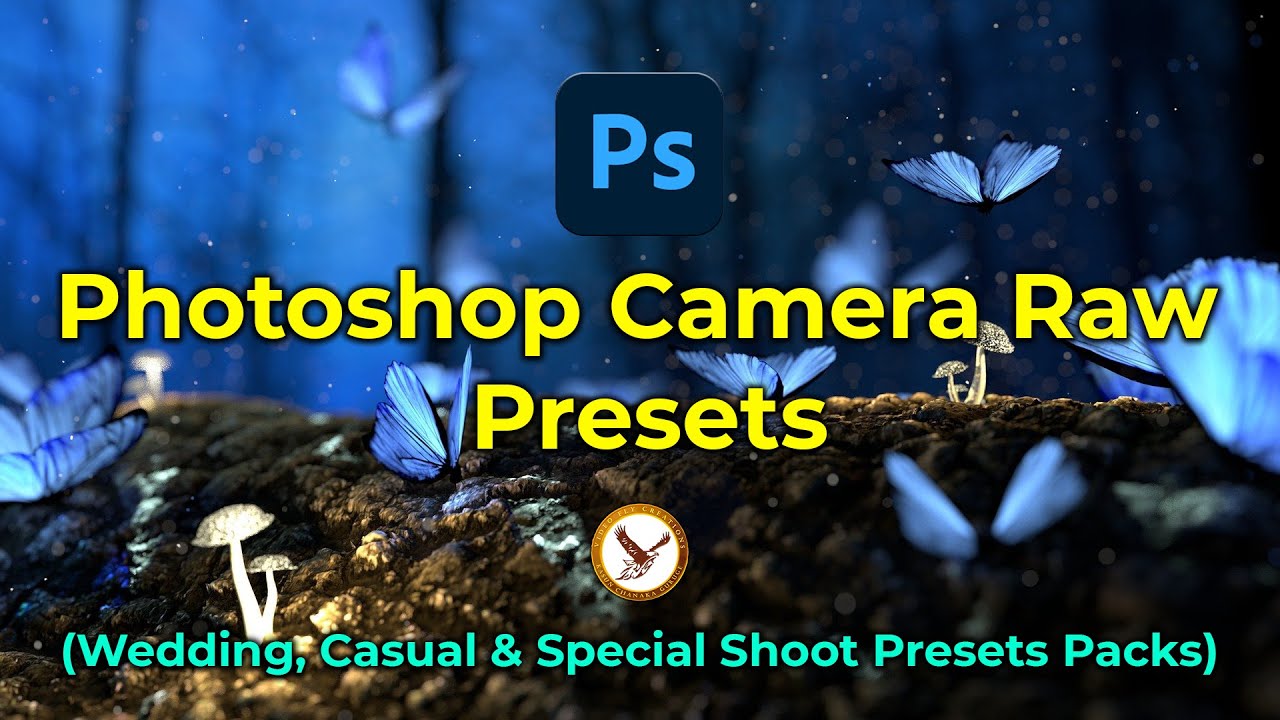 How To Install And Use XMP Presets In Camera Raw Photoshop Photoshop how-to-install-and-use-xmp-presets-in-camera-raw-photoshop-photoshop